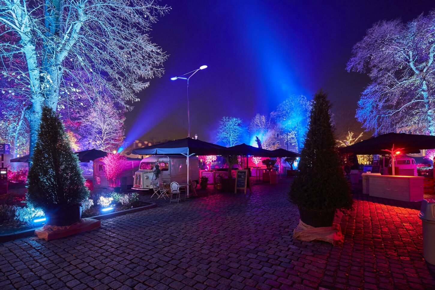 Magical Garden - GLOW
