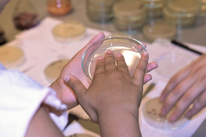 Collecting Cultures - BioArt Laboratories - GLOW