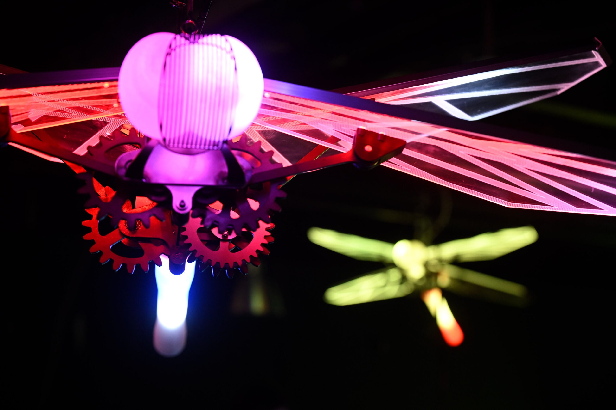 Dragonfly - Fontys BeCreative - GLOW